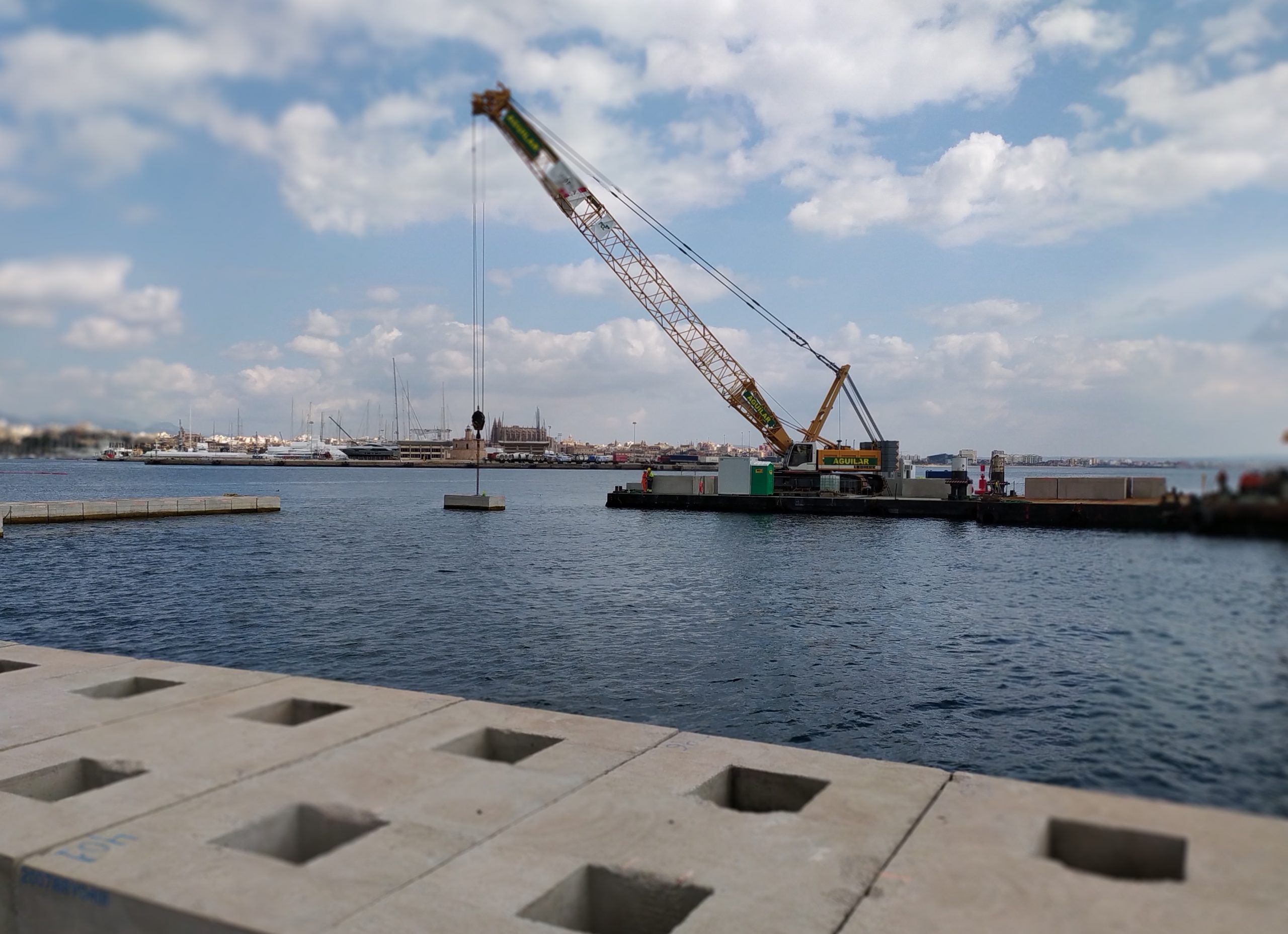 Single-Arm Grippers - Rubrica Maritime